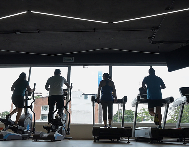 Vida Sport Gym | Gimnasio